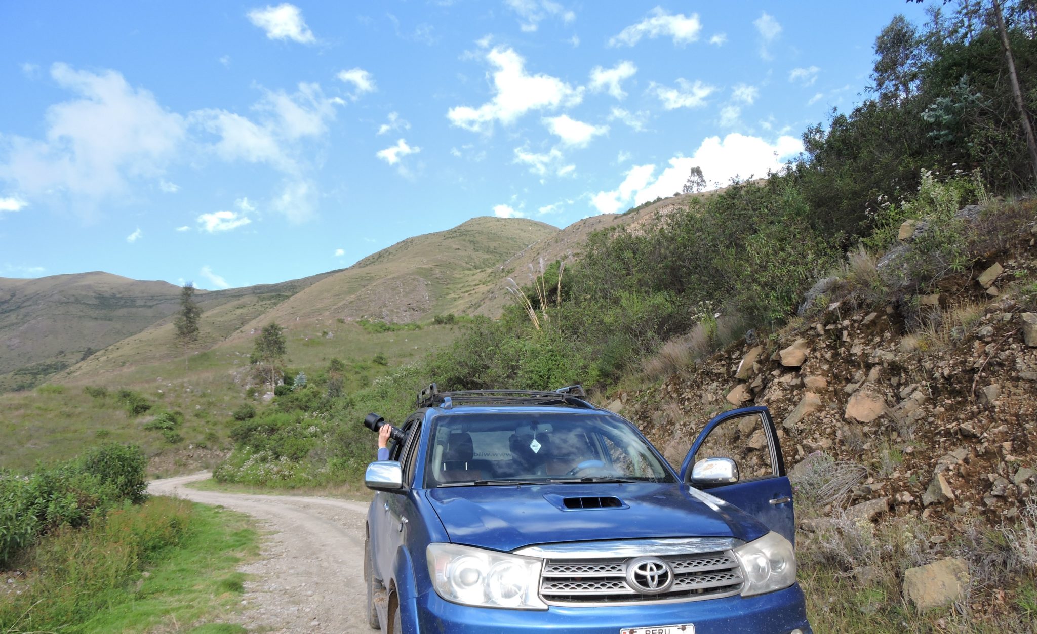 Condor Watching Tour in Cusco + 4 Endemics Expand Your BirdList