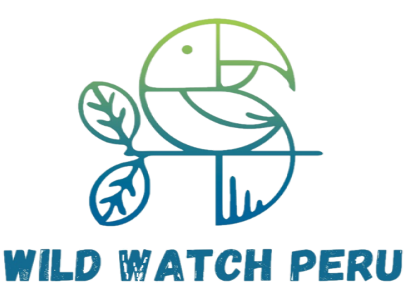 Contact Wild Watch Peru for Unforgettable Jungle Tours 2025